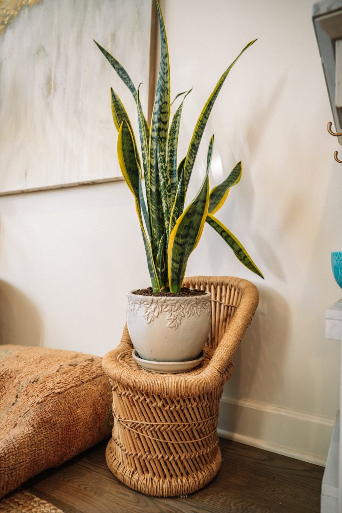 BOHO LOUNGE | BREAKFAST NOOK MAKEOVER – Hunter Premo