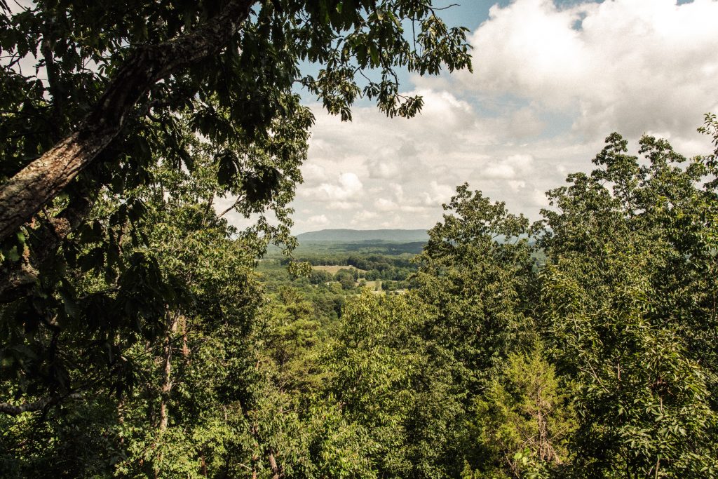 SELAH RIDGE TREEHOUSE – Hunter Premo